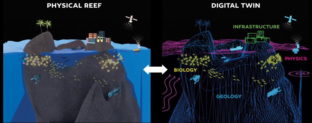 Digital Reefs