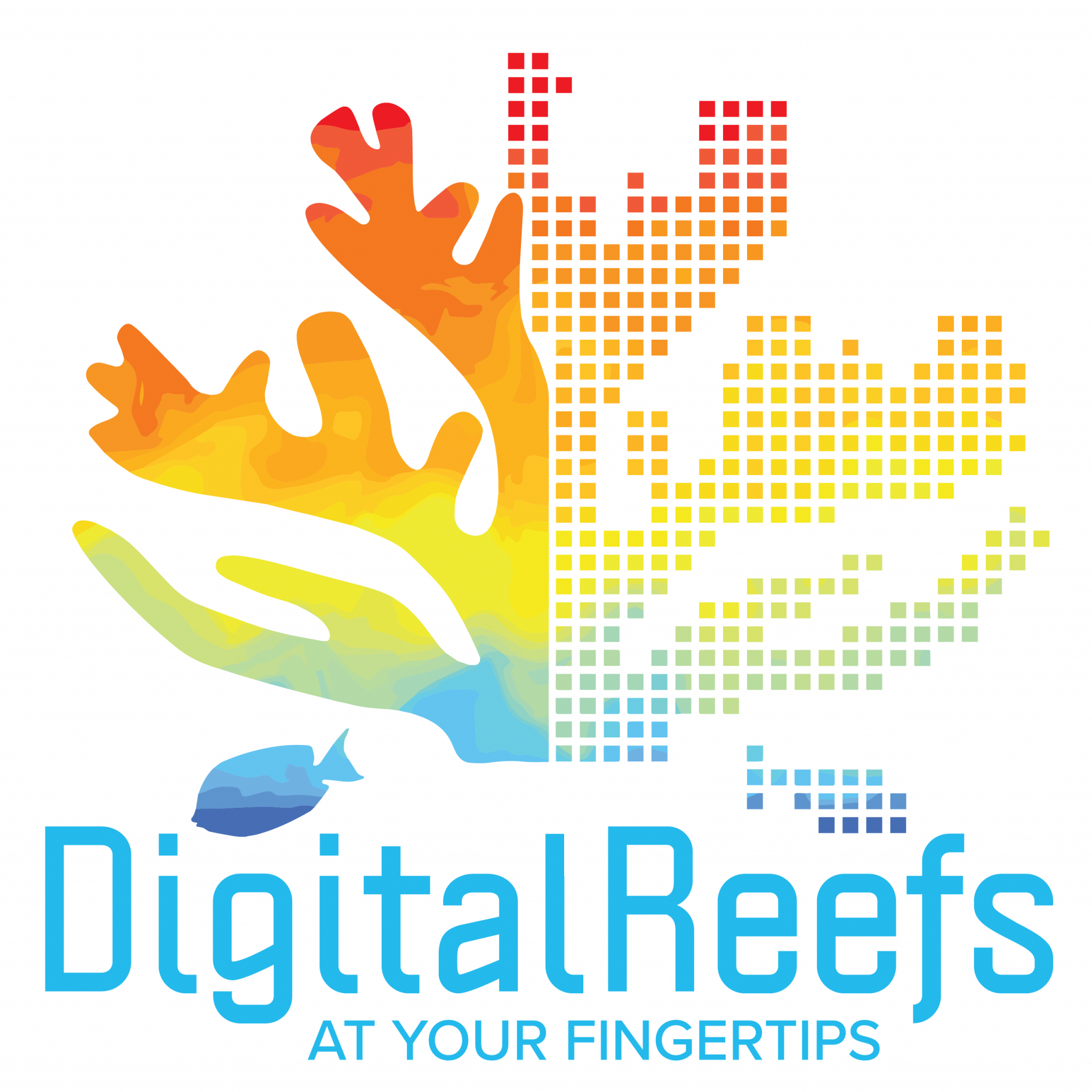 Digital Reefs